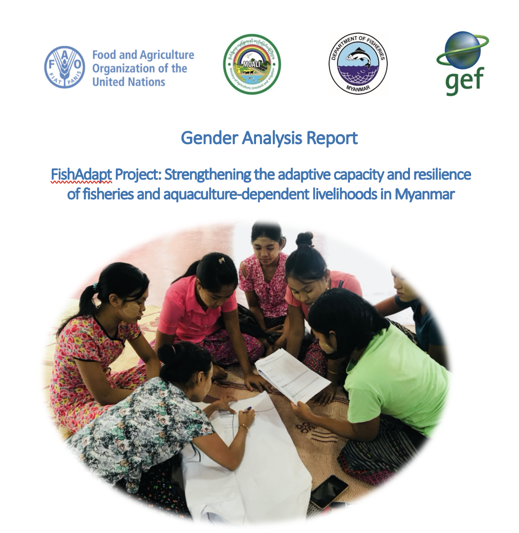 Gender Analysis Report | FishAdapt Project